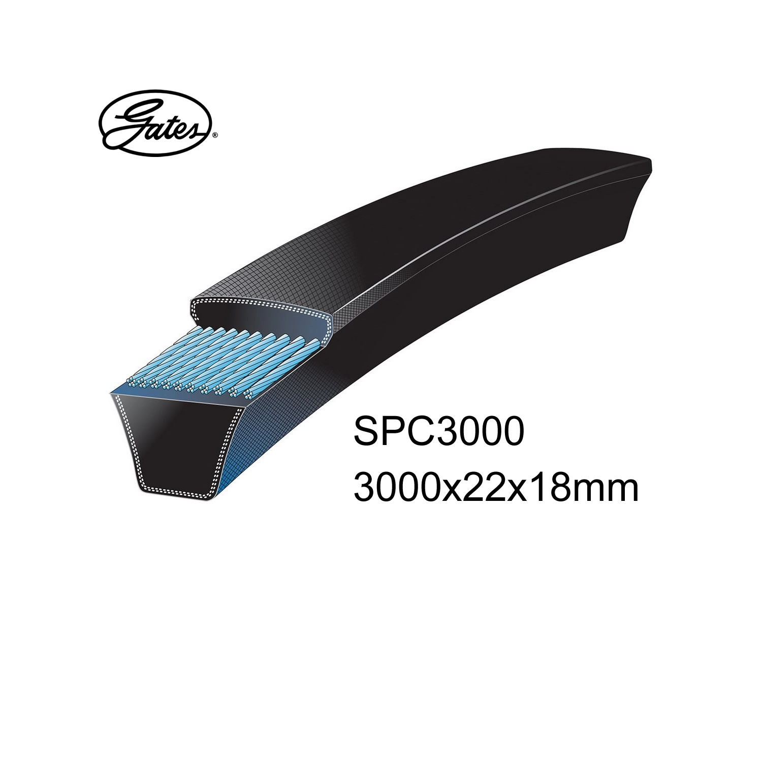 SPC3000 SUPER HC Keilriemen 3000mm, 22x18mm von Gates Original